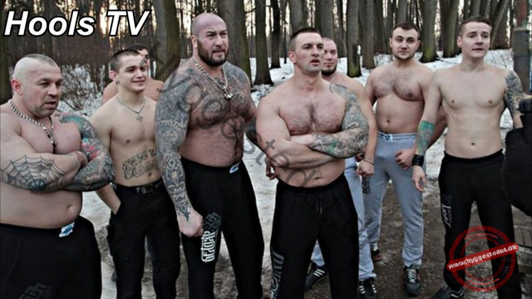 Hooligans Fights - Hyggestedet